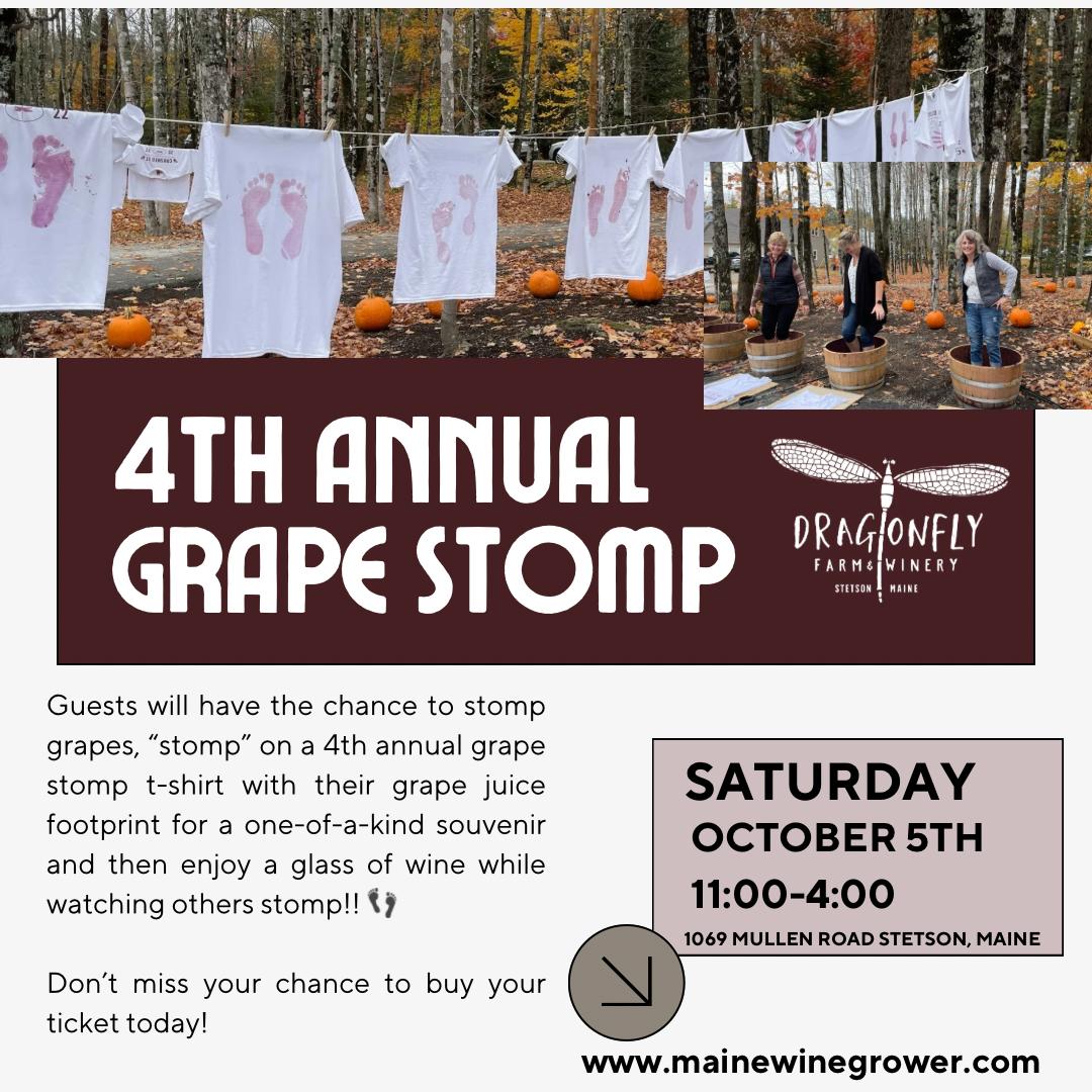 4th Annual Dragonfly Grape Stomp | Dragonfly Farm and Winery